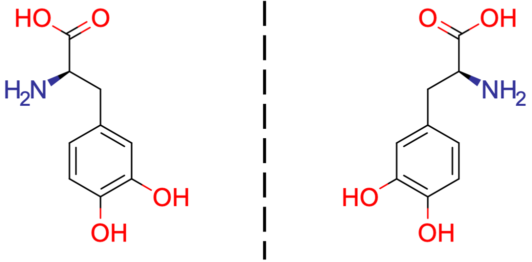 Project — Nanohelicoid metamaterials templated by cellulose nanocrystals with end-tethered ...